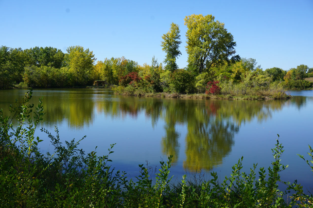 Taken For Granted: Pond Reflection