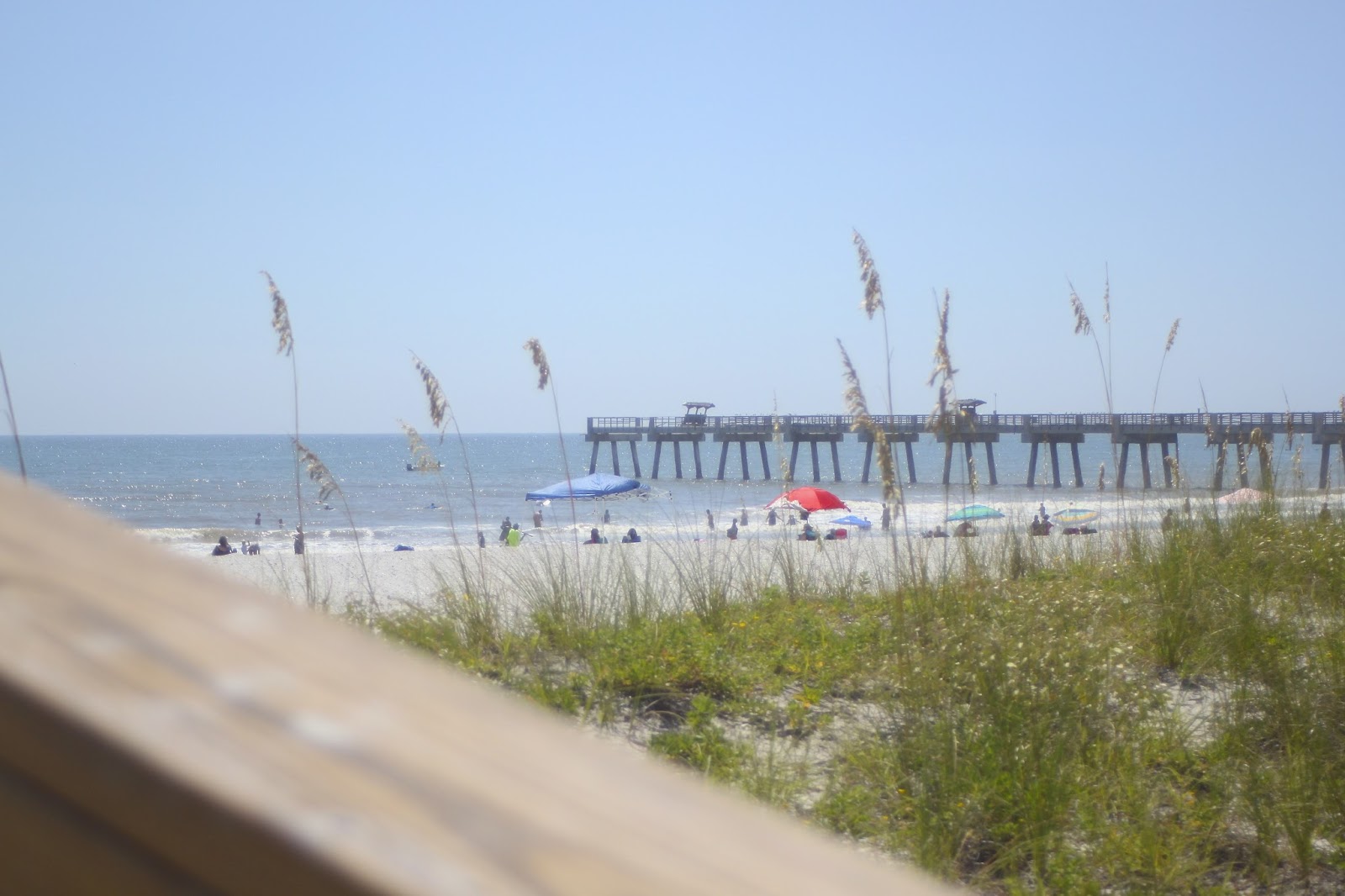 borrowed heaven: Visiting Florida's First Coast