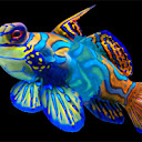 Exotic Freshwater and Saltwater Fishes
