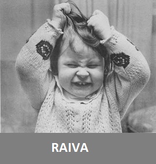 Psicologia Avaré - Faculdade Sudoeste Paulista: Lidando com os ...