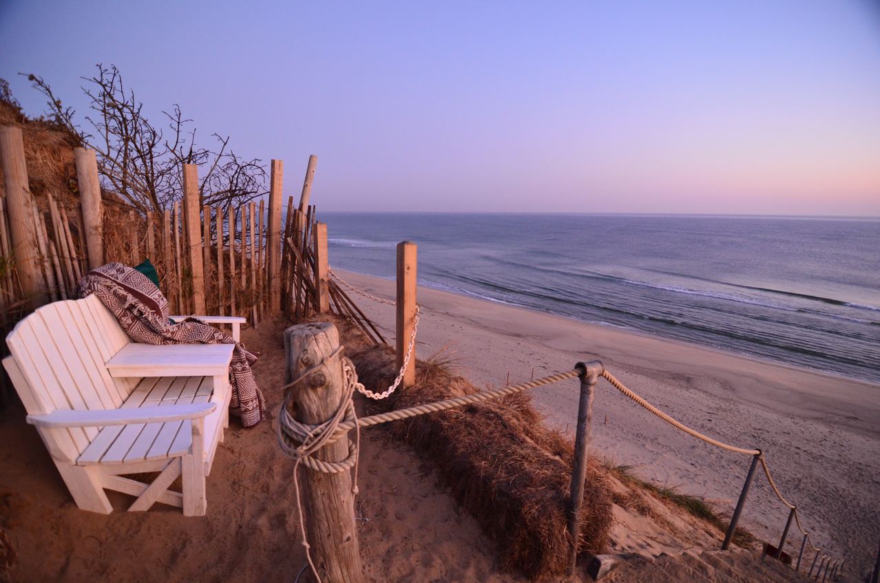 Flower Hill Farm: Glimpses From The Edge - A Wildlife Sanctuary - Cape ...