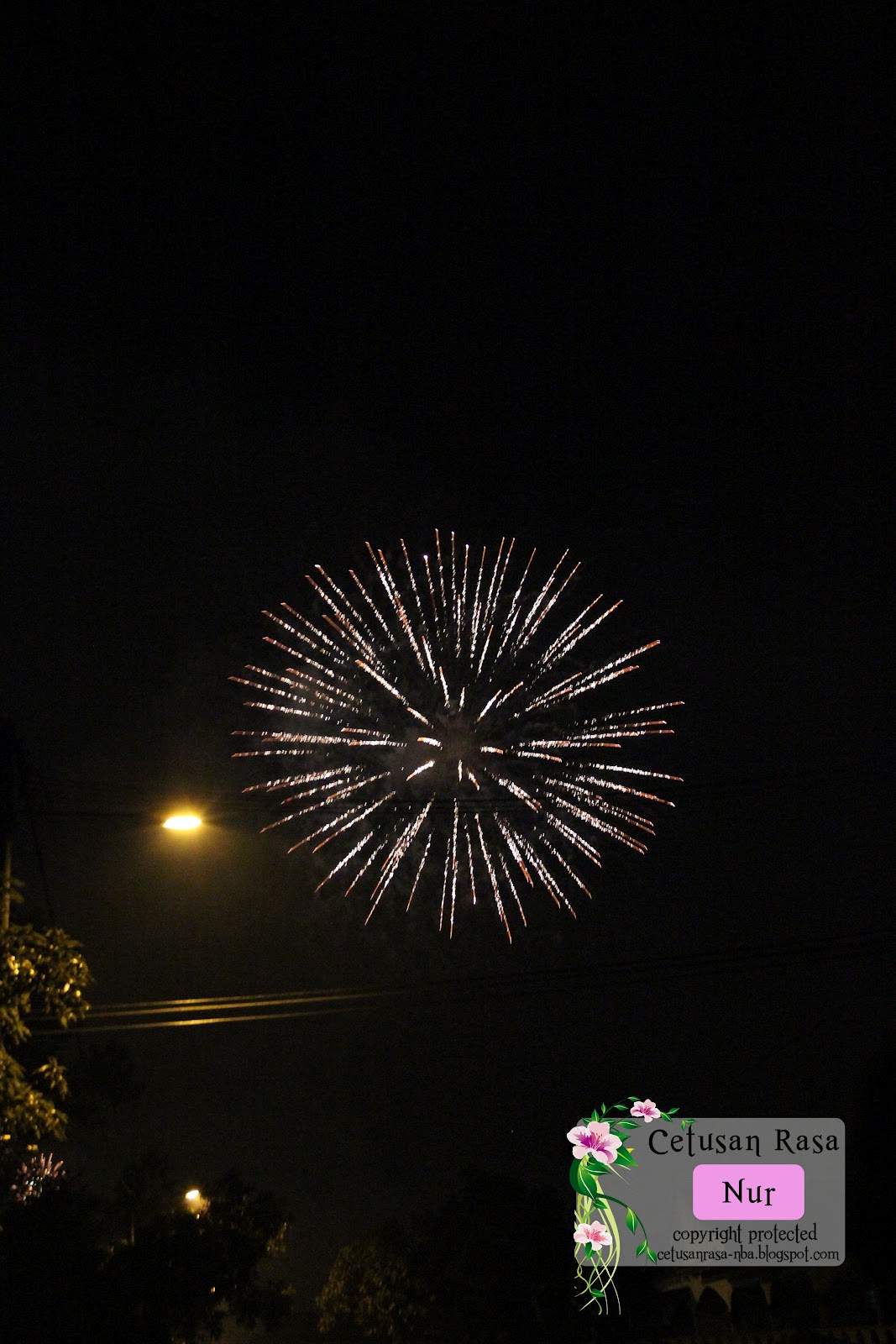 Cetusan Rasa: Percikan Bunga Api