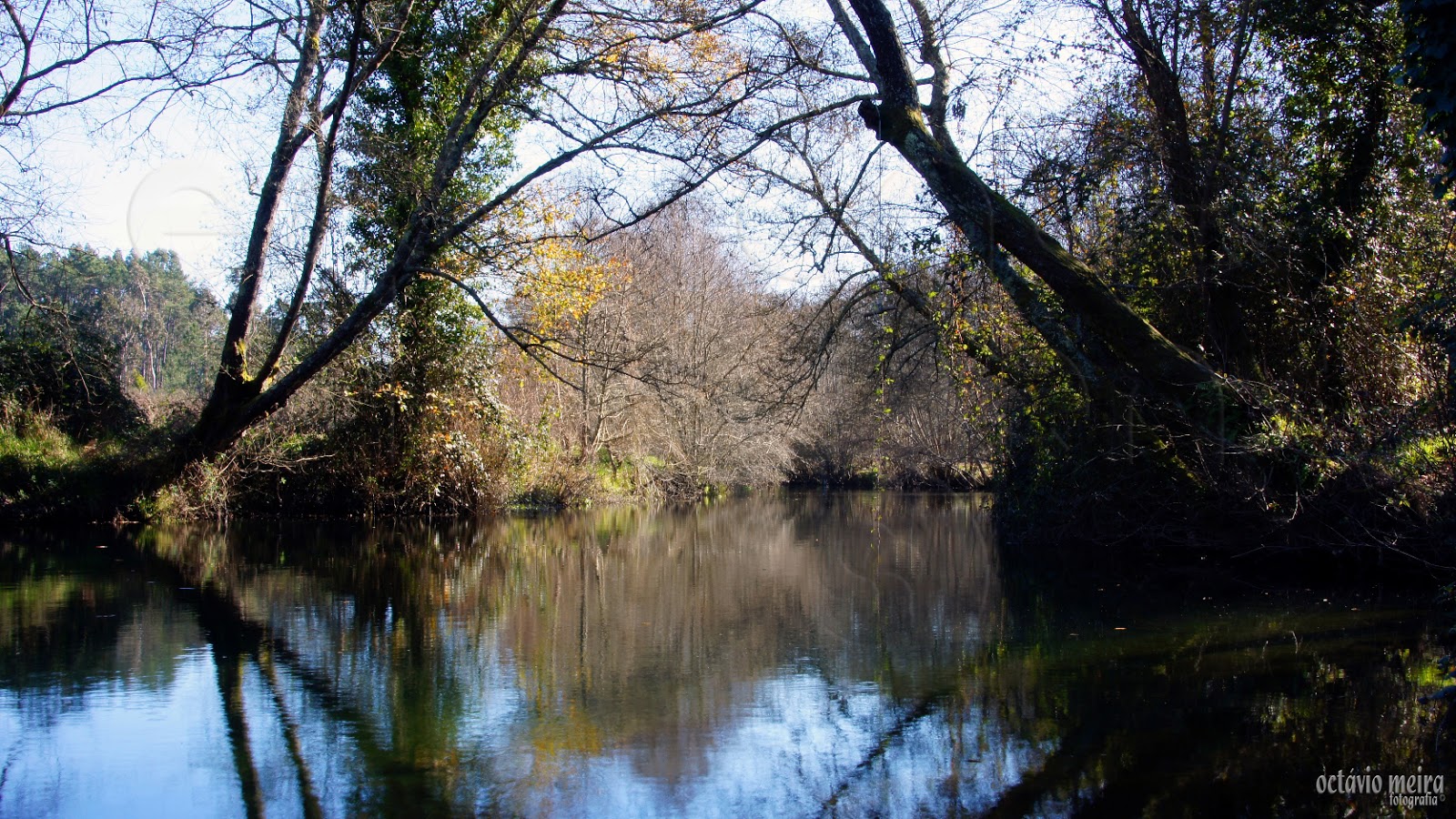 Esposende Imagens: | Rio Neiva ... |