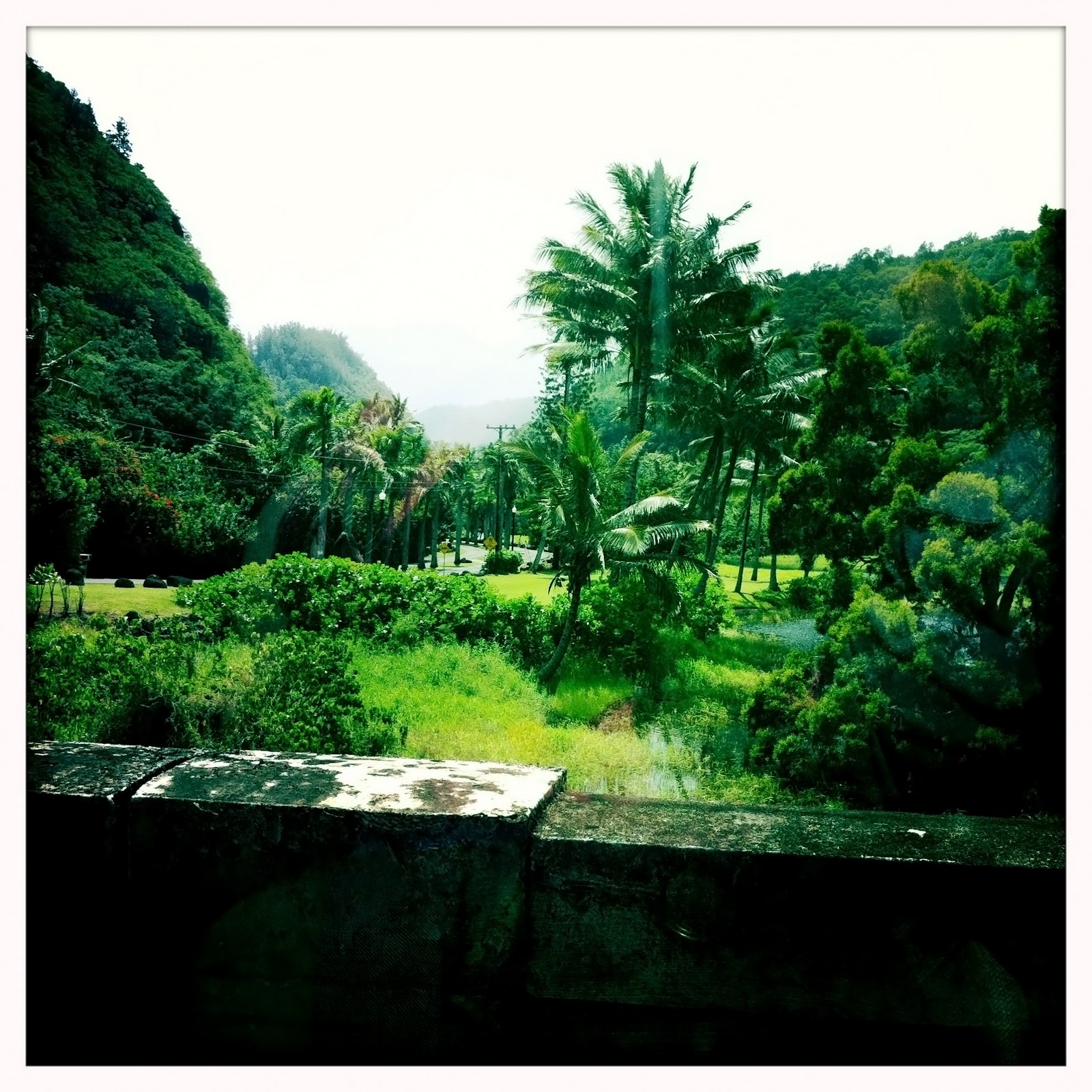 PHOTOS & VIDEOS NORTH SHORE OAHU PT. ONE: SUNSET BEACH, PUPUKEA BEACH ...