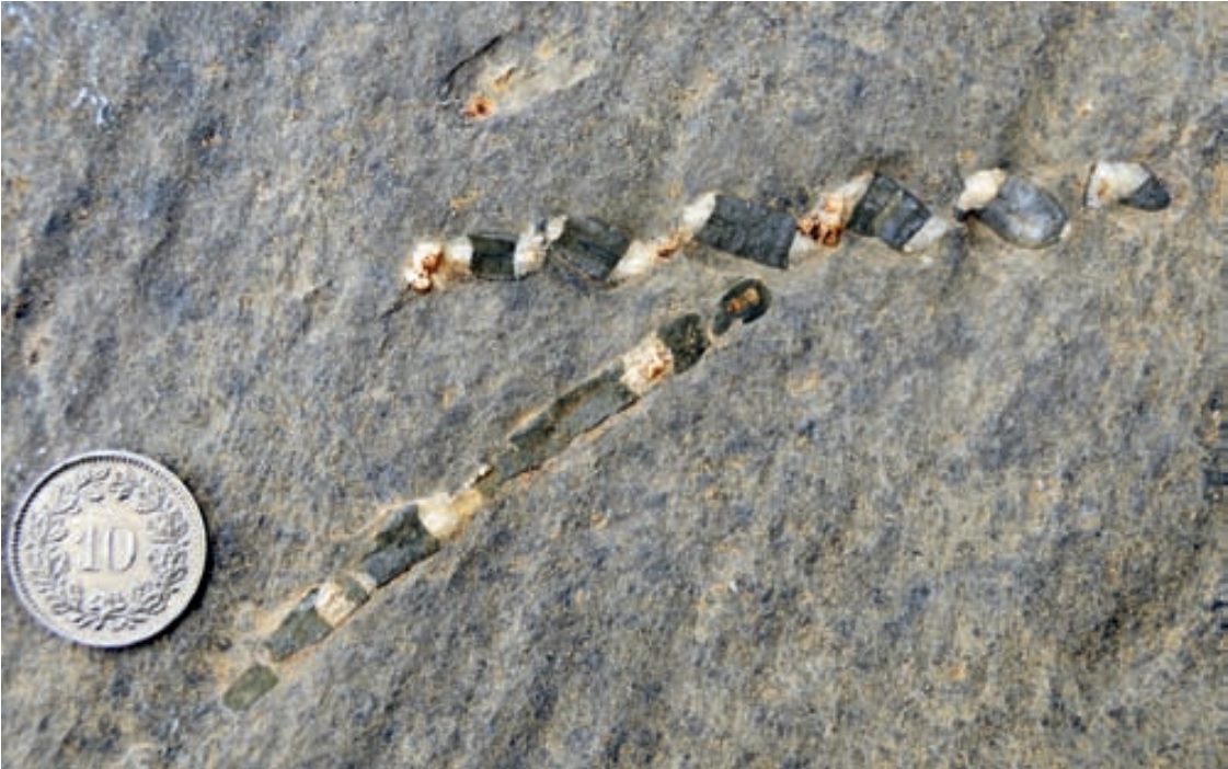 Why perform strain analysis? ~ Learning Geology