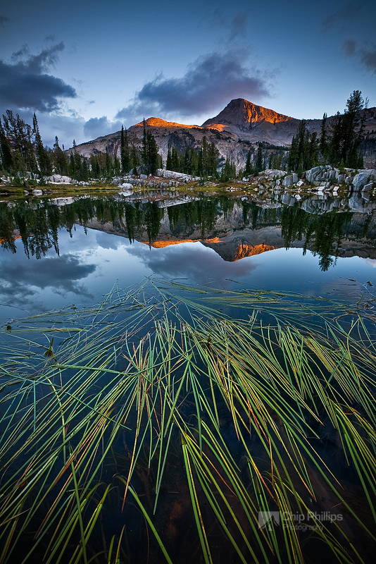 :: Alexandra Proaño 3D - Green Pear Diaries ::: Chip Phillips, la ...