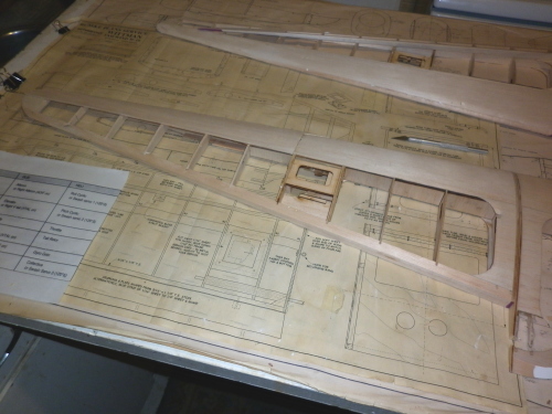 Wings N' Flying Things: Bird of Time