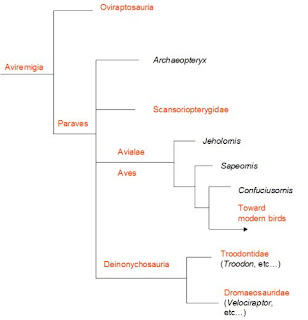 Paleoexhibit: Samrukia nessovi, the prehistoric giant bird from Kazakhstan