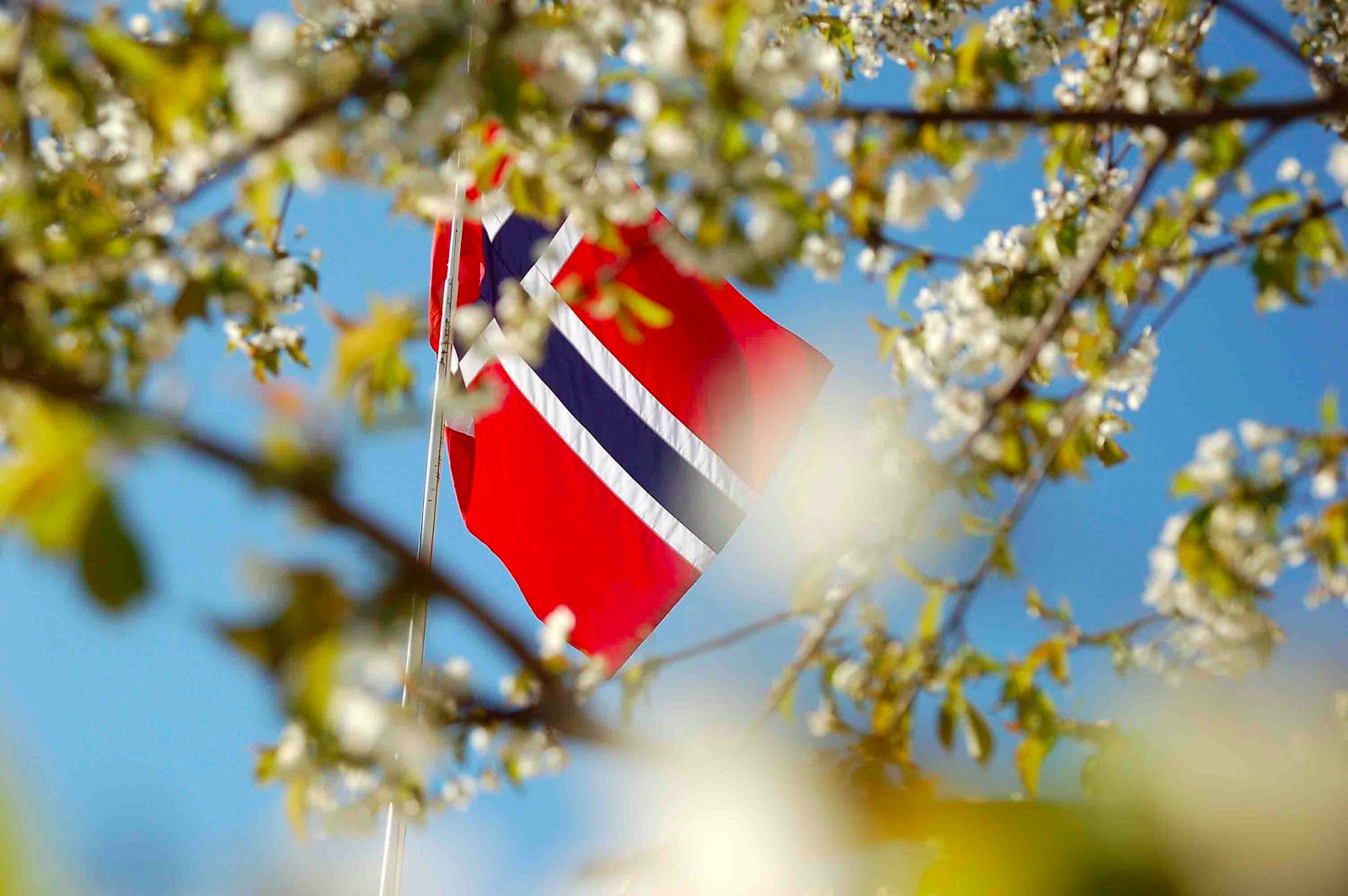 Noma House: 17. mai er vi så glad i moro, vi har fra morgen til kveld....