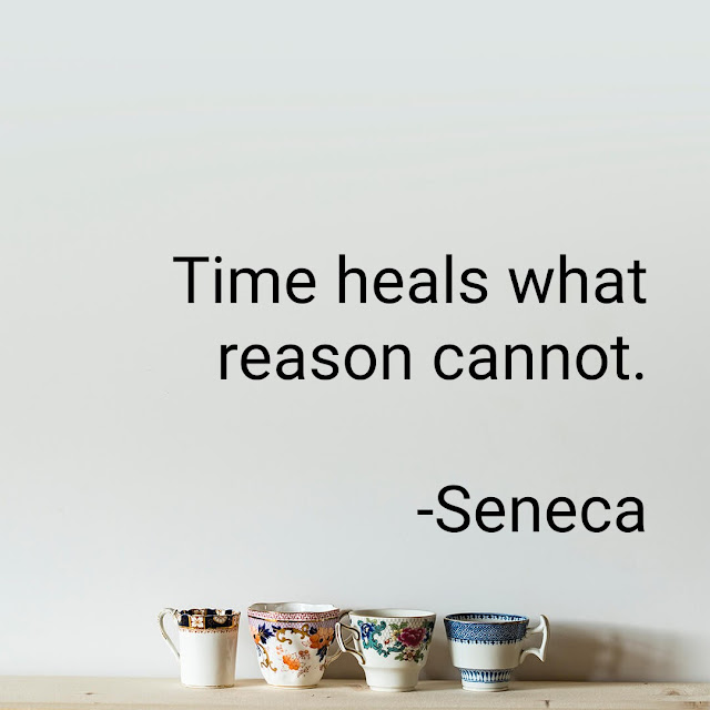 Time heals what reason cannot.