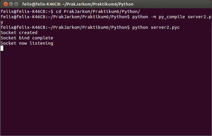 Felix Tanamas: Socket Programming in Python on Linux