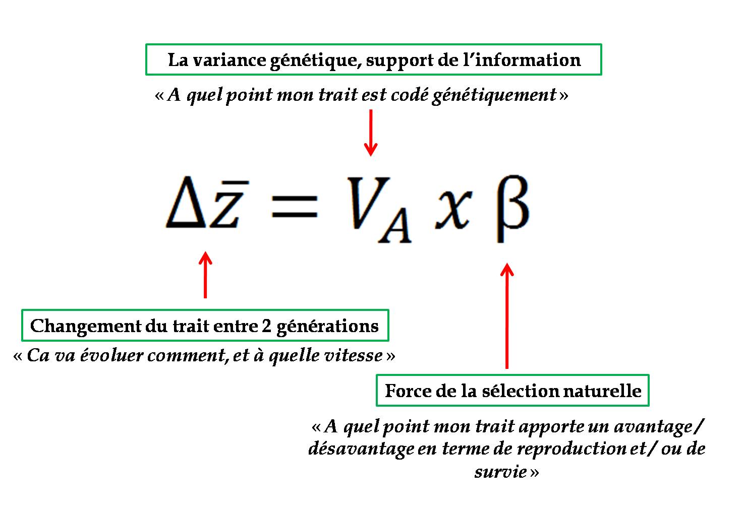 Dans les testicules de Darwin: Prédire l'évolution darwinienne?