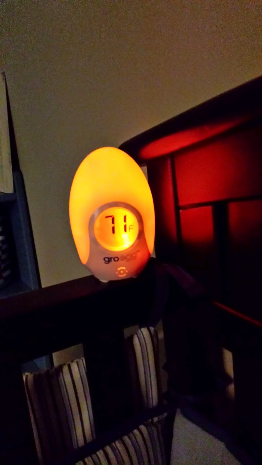 Mrs. PickyPants: The Gro Egg