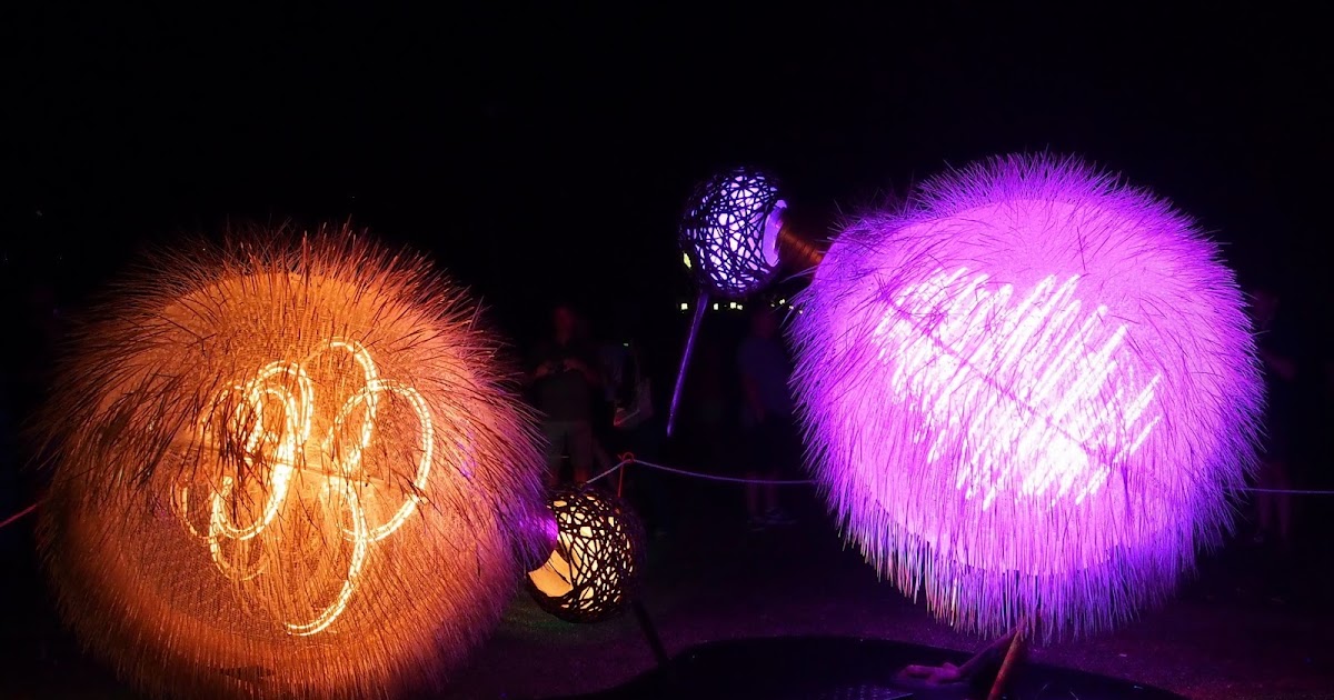 Perth Daily Photo : Kaleidoscope Festival..'Birds of Lumos'.