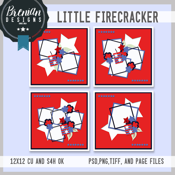 Brenian Designs: Little Firecracker