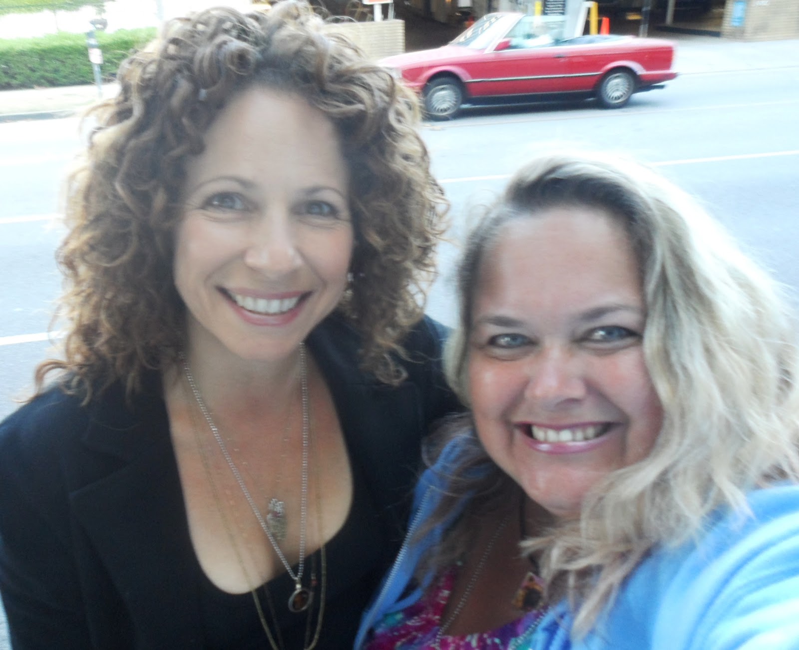 Thinking Pink: Pinky's Fandance Redux - Meredith Scott Lynn