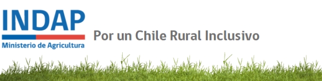 INDAP como una Institución Modelo para mejorar el Desarrollo Económico ...