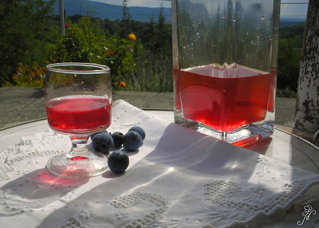 Jedozovni duo: Liker od trnina