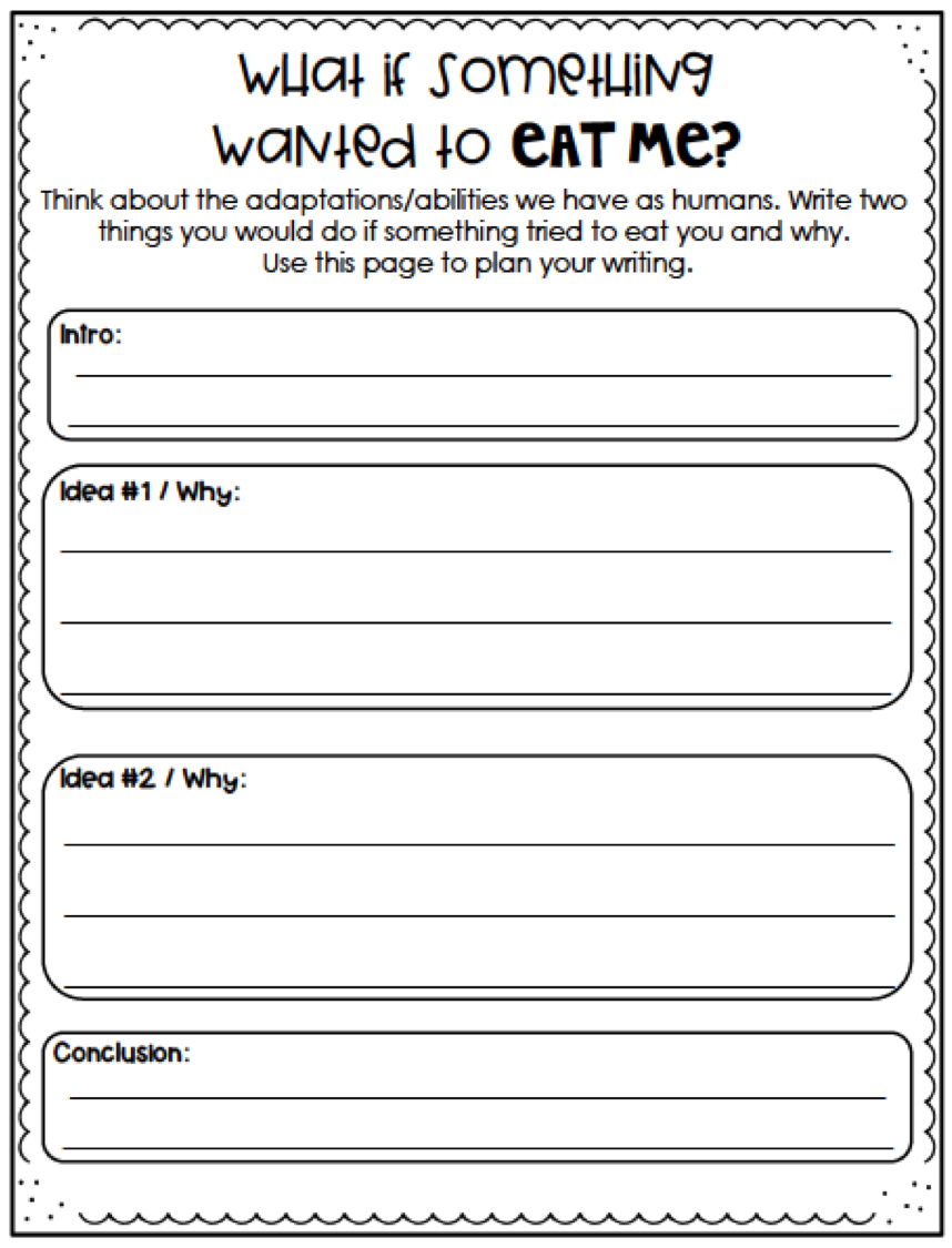 Paiges of Learning: Spotlight on Steve Jenkins!