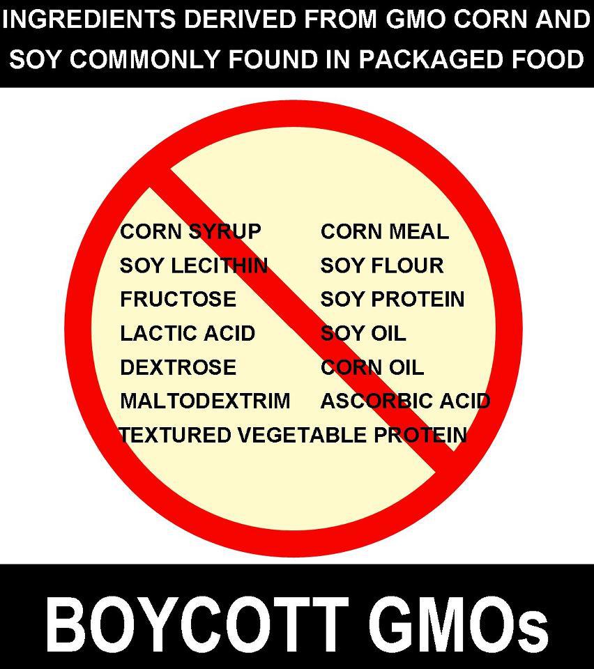 Lea's Closet: Say NO to GMO's!!!
