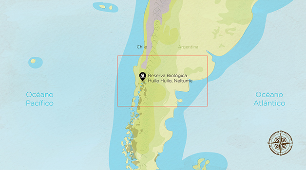 CHILE DE NORTE A SUR: HUILO HUILO - CHILE