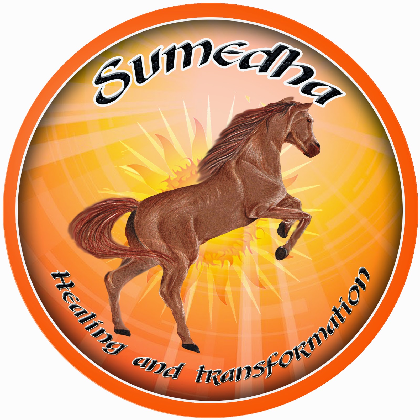 Sumedha: COMING PROGRAMMES