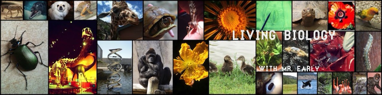 Living Biology: Home Page