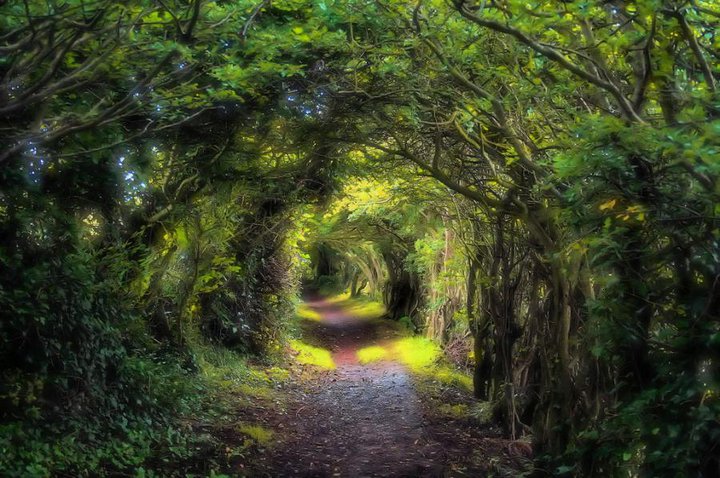 My Magical Story Book