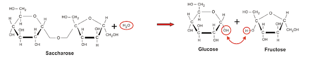 L'ile flottante scientifiquement parfaite.: Le caramel