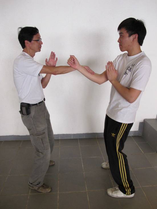 Penglai Martial Arts : Introduction to Snake Crane Wing Chun Hand ...