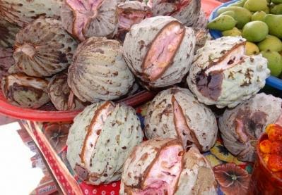 Mes crazy expériences: Ilama (A-to-Z challenge 2015)