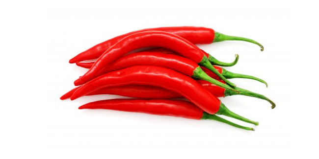 SIMPLISIA FARMAKOGNOSI LENGKAP: FRUCTUS