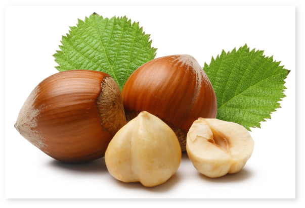 Remedii cu alune de padure | Medicina informativa