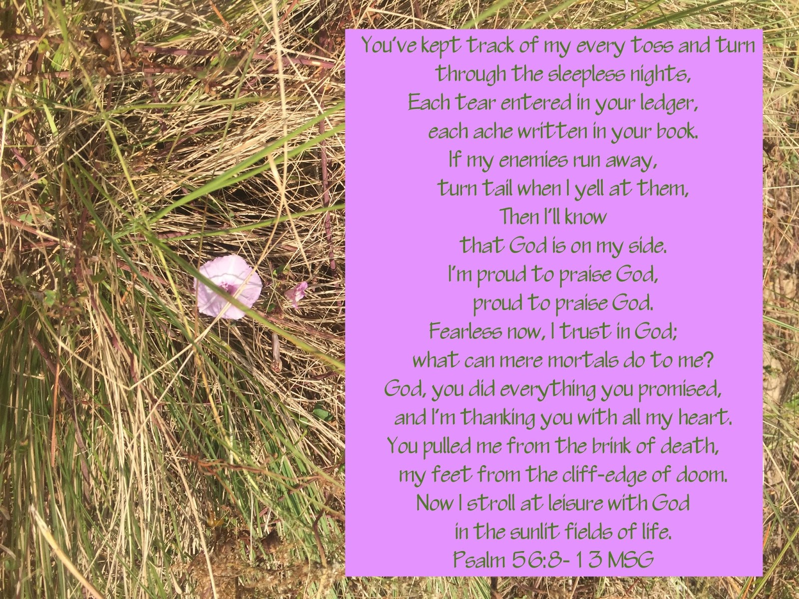 my-strength-psalm-56-8-13-mended