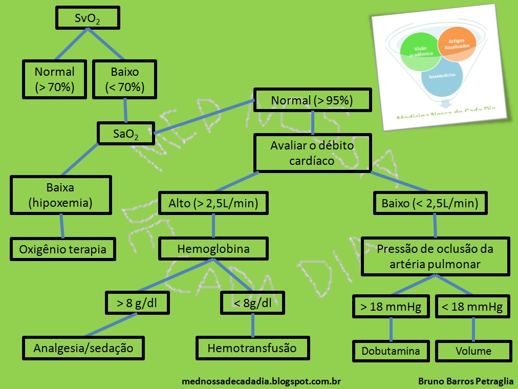 Medicina Nossa de Cada Dia: Por quê você pediria a saturação venosa de ...