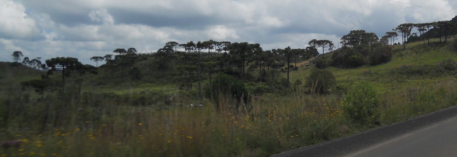 Carnaval na Serra Catarinense I - Urupema (SC)!