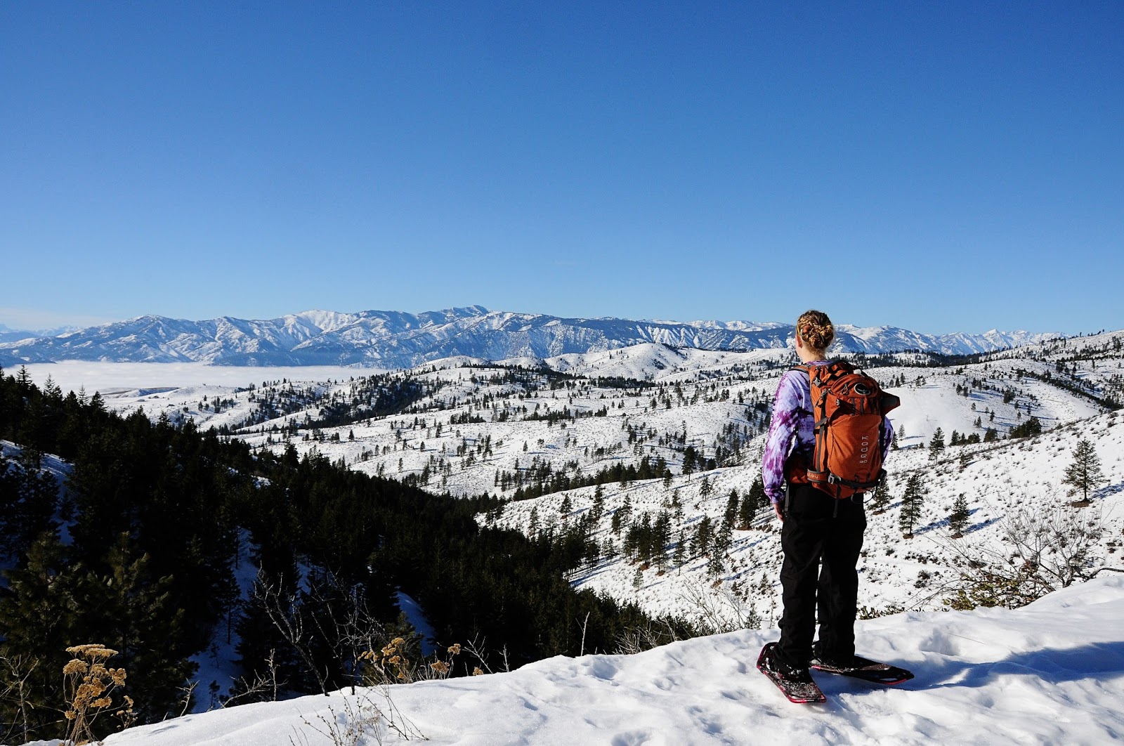 Echo Ridge Trails....The Shoe