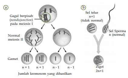 Materi Mutasi Biologi Kelas 12 - Pustaka Belajar