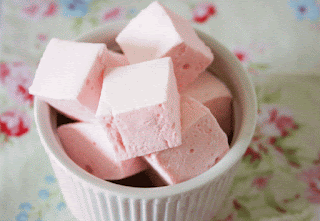 Backyard Patch Herbal Blog: Herb of the Week - Marshmallow or Marsh Mallow