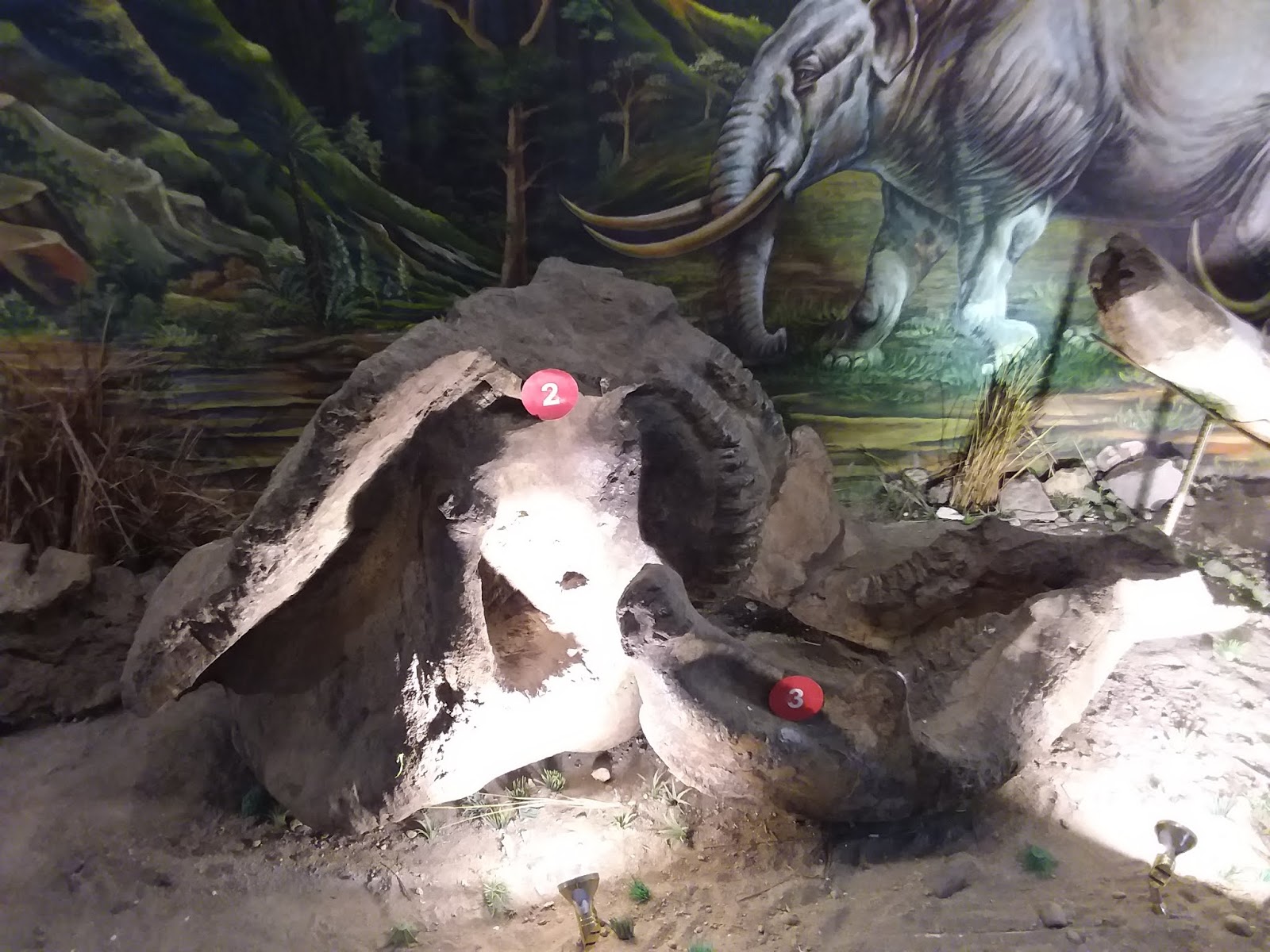 Sangiran Museum the World Heritage Site