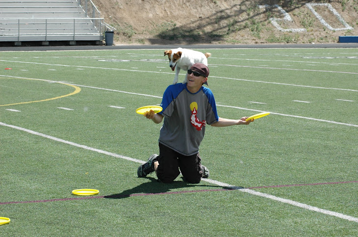 Canine Entertainment by the Colorado Disc Dogs
