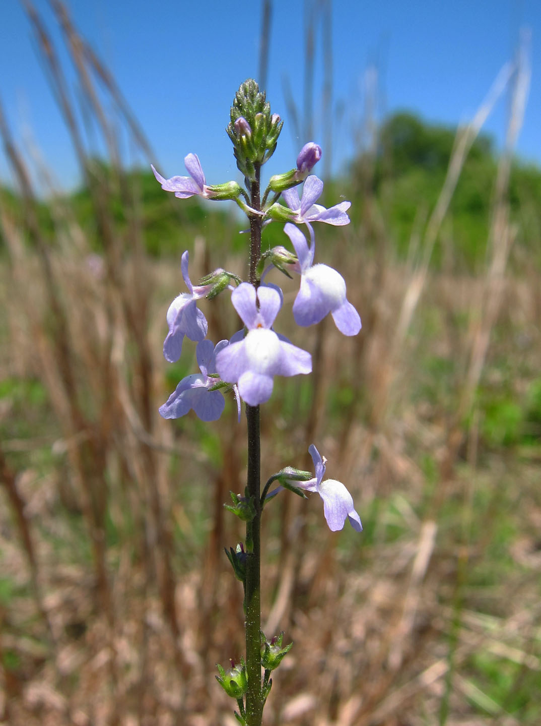 66 Square Feet (Plus): Dead Horse Bay