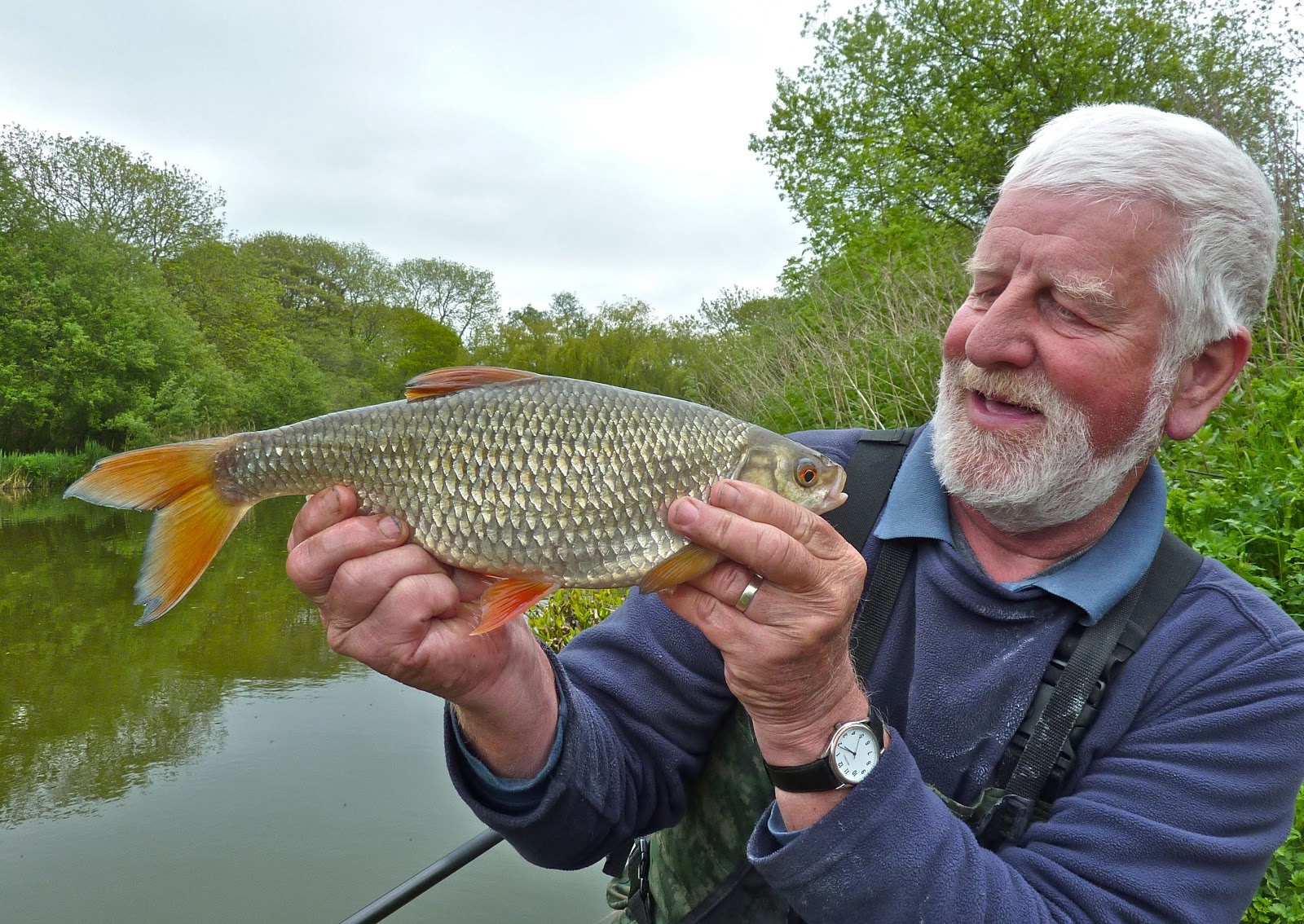 HUGH MILES - WILDLIFE ADVENTURES: ABSENT FRIENDS