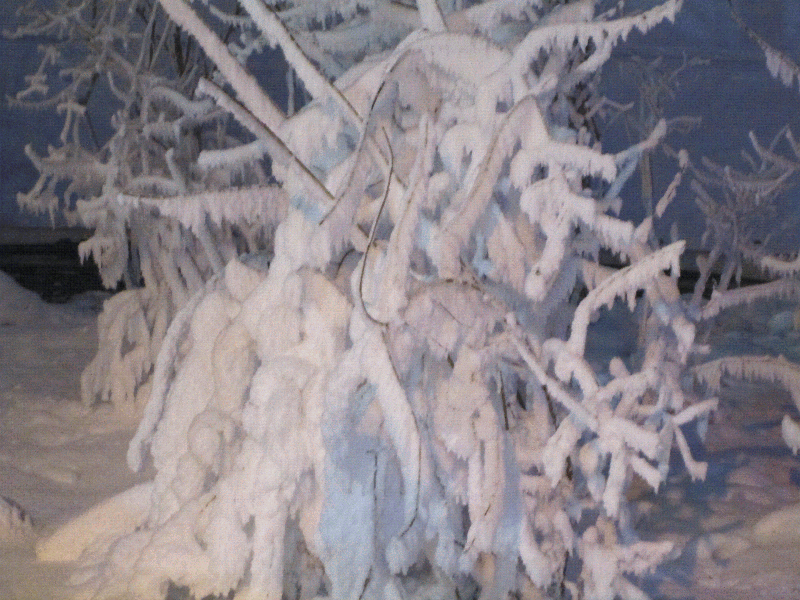 permata hati mama: MUSIM SALJI DI MALAYSIA