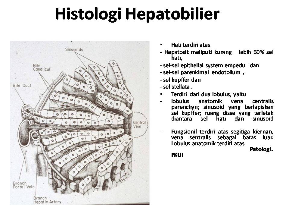 Mata Kuning (Ikterus) - Catatan Sugasetya