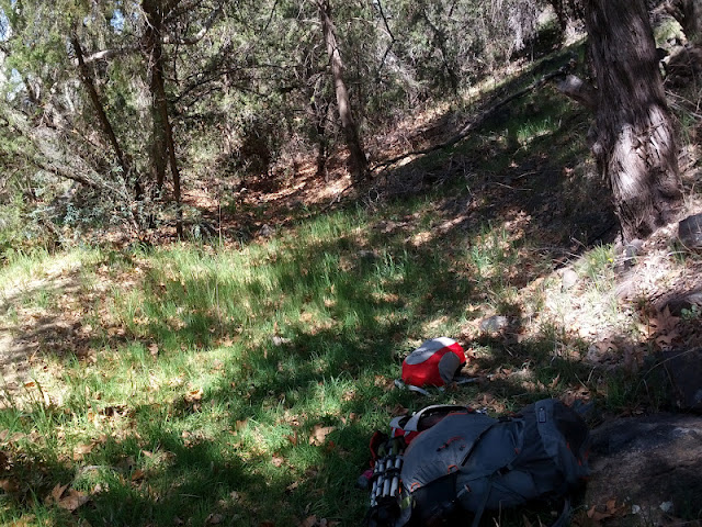 i heart mesa.: Enjoying Arizona - Sunflower and Bushnell Tanks