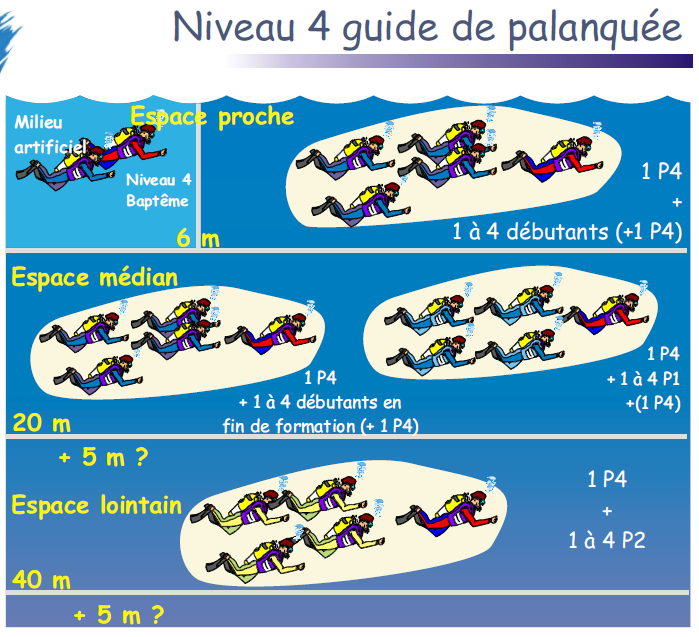 Plongée cours en ligne: Réglementation N2, N3