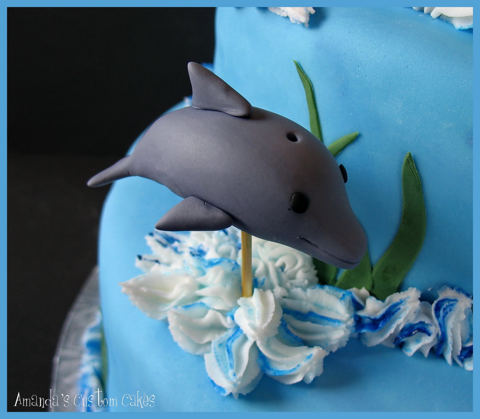 Amanda's Custom Cakes: Sea World themed cake