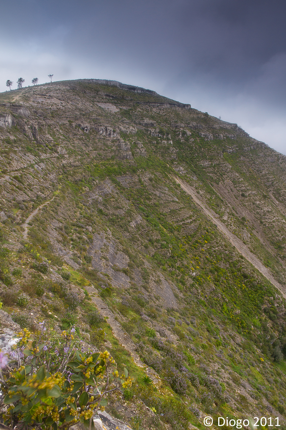 Fórnea, Serra d'Aire e Candeeiros - Pegadas da Natureza