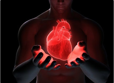 GABRIELA CRIOLLO - ENFERMEDADES DEL CORAZÓN: El gen culpable de los ...